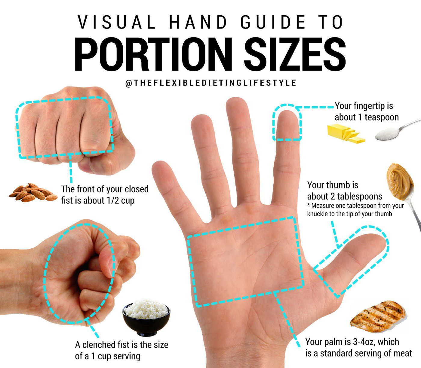 Nutrition For Beginners – Cronometer Blog